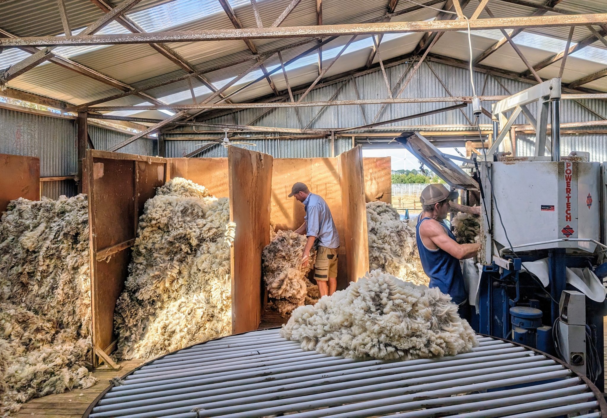 Shearing and Wool Classing Project - Skills Insight