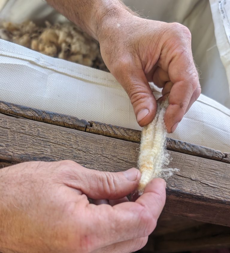 Shearing and Wool Classing Project - Skills Insight